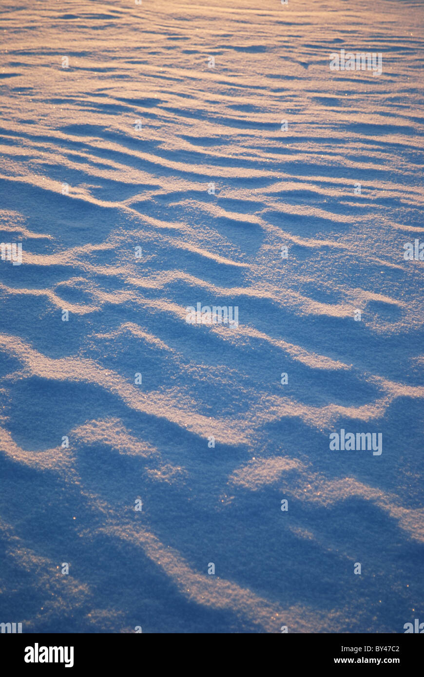Snow surface detail Stock Photo - Alamy