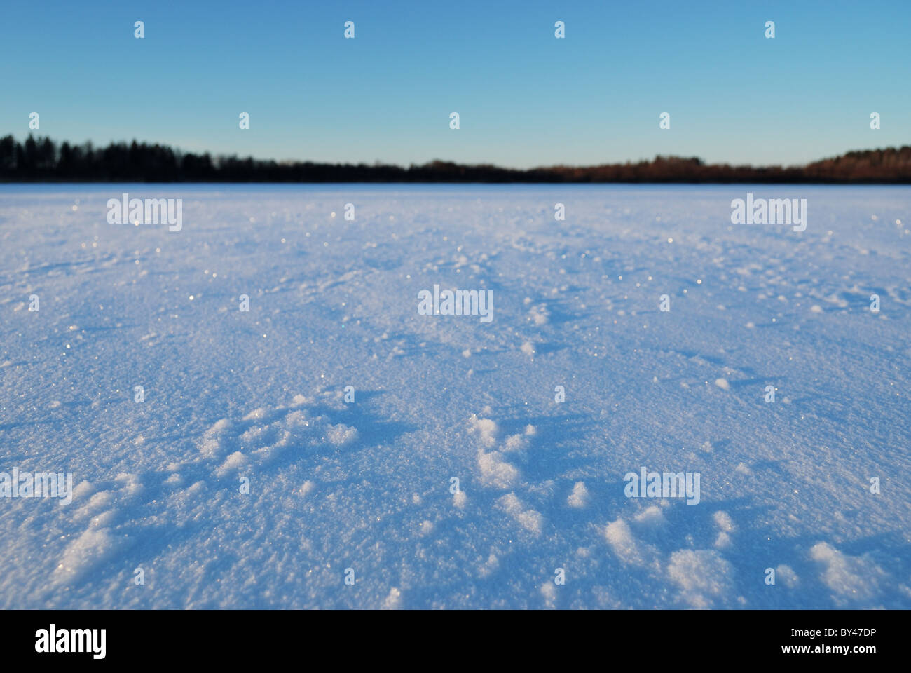 Snow surface detail on frozen lake Stock Photo - Alamy