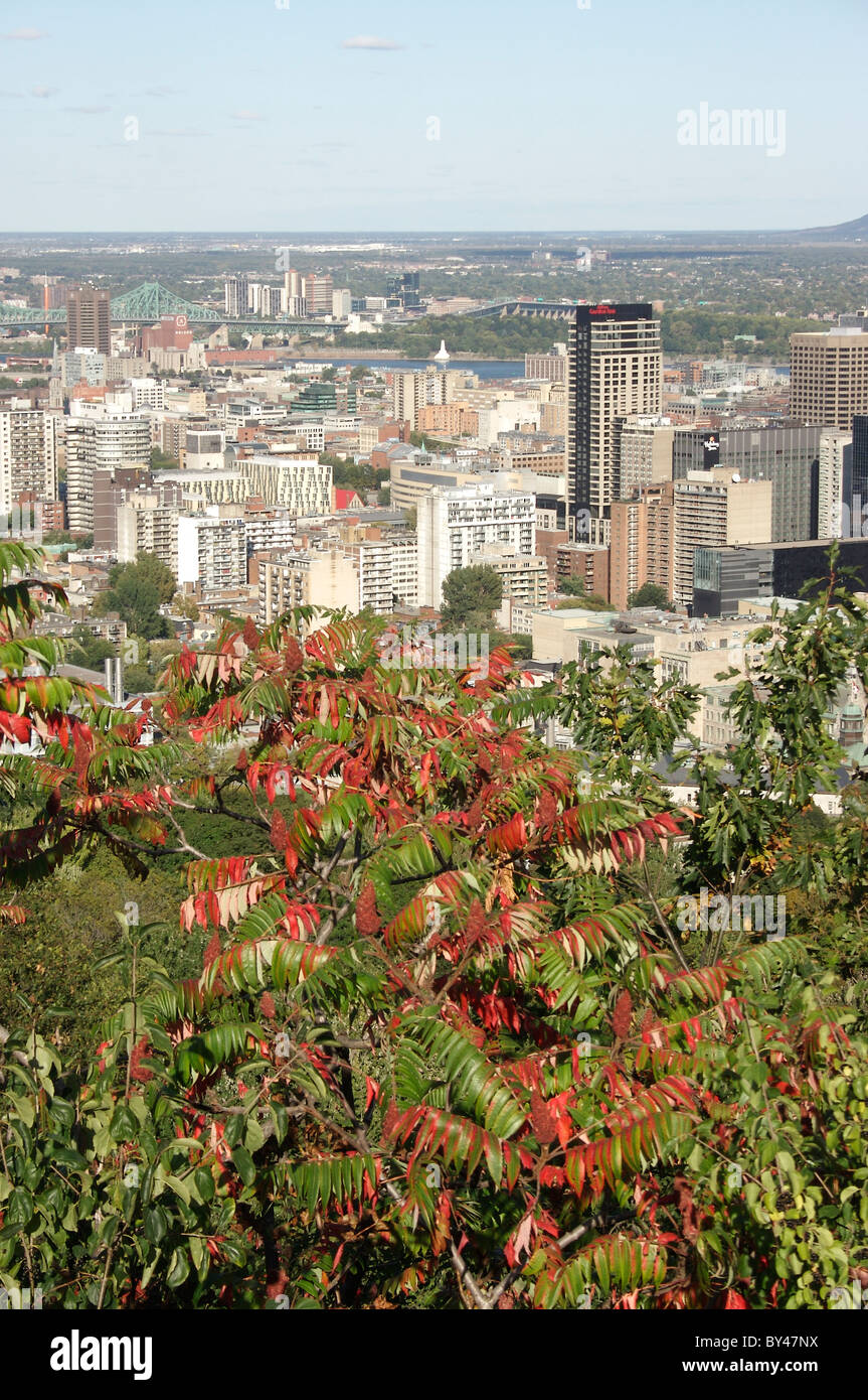 Montreal from mount royal hi-res stock photography and images - Alamy