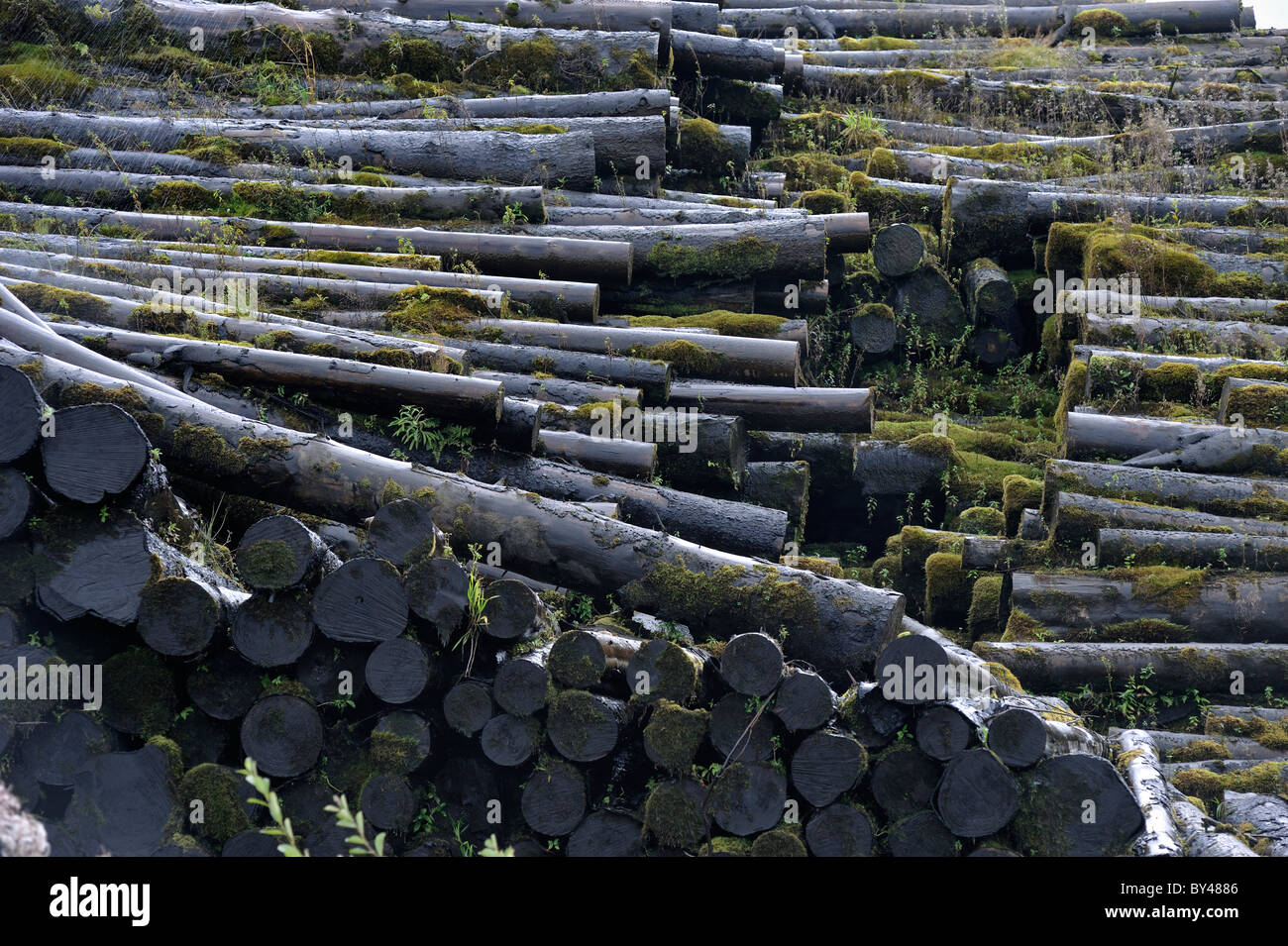 Storm cut hi-res stock photography and images - Alamy