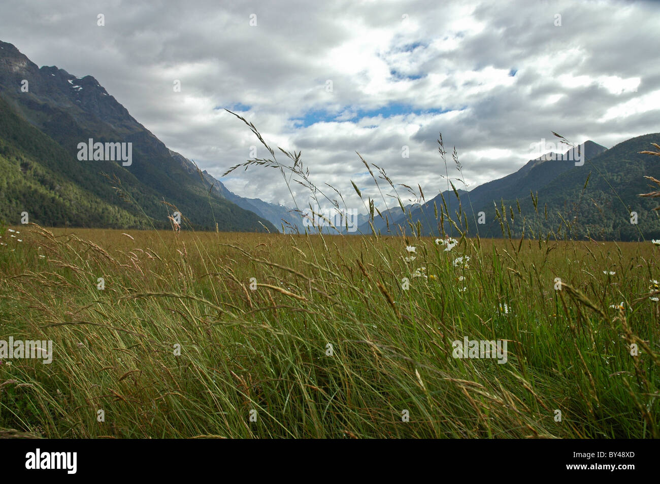 Knobs Flat southern alps Scenery from Milford road Highway 94 South ...
