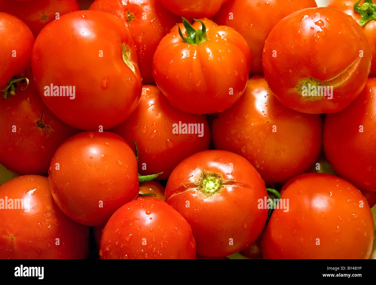 Freshly picked and washed tomatoes Stock Photo - Alamy