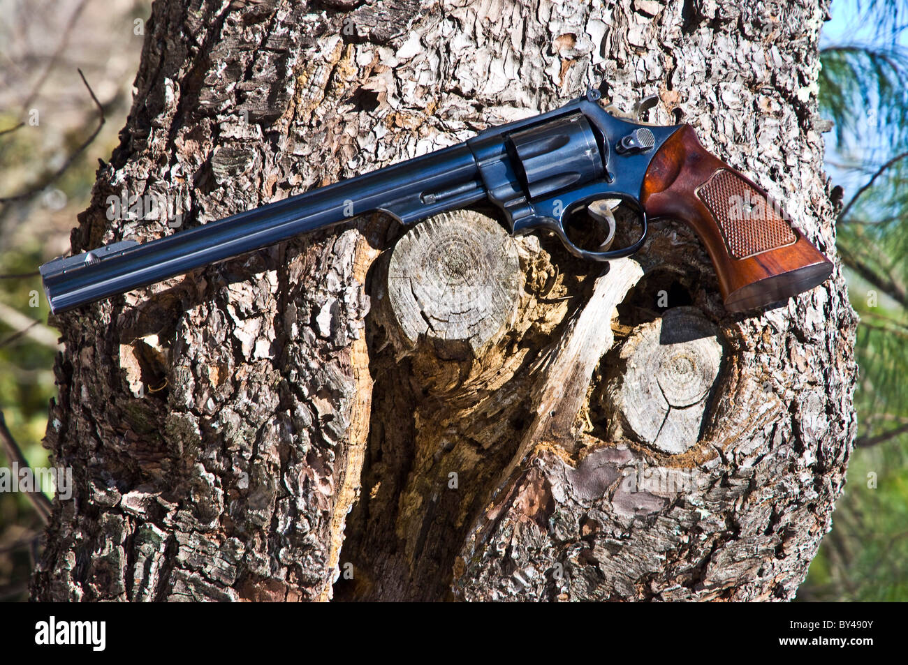 Black gun pistol revolver barrel hi-res stock photography and images ...