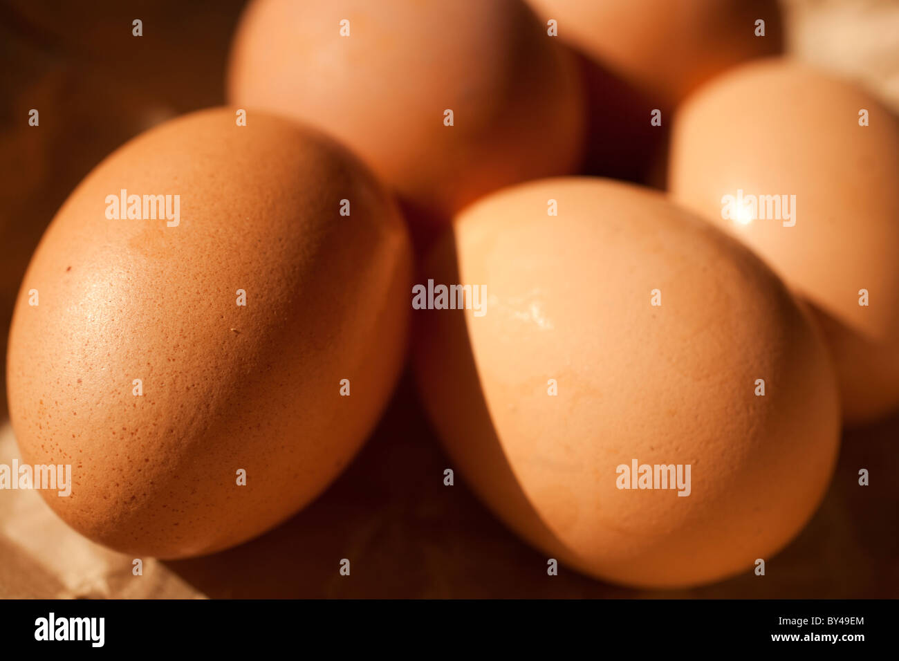 Close up whole brown egg hi-res stock photography and images - Alamy