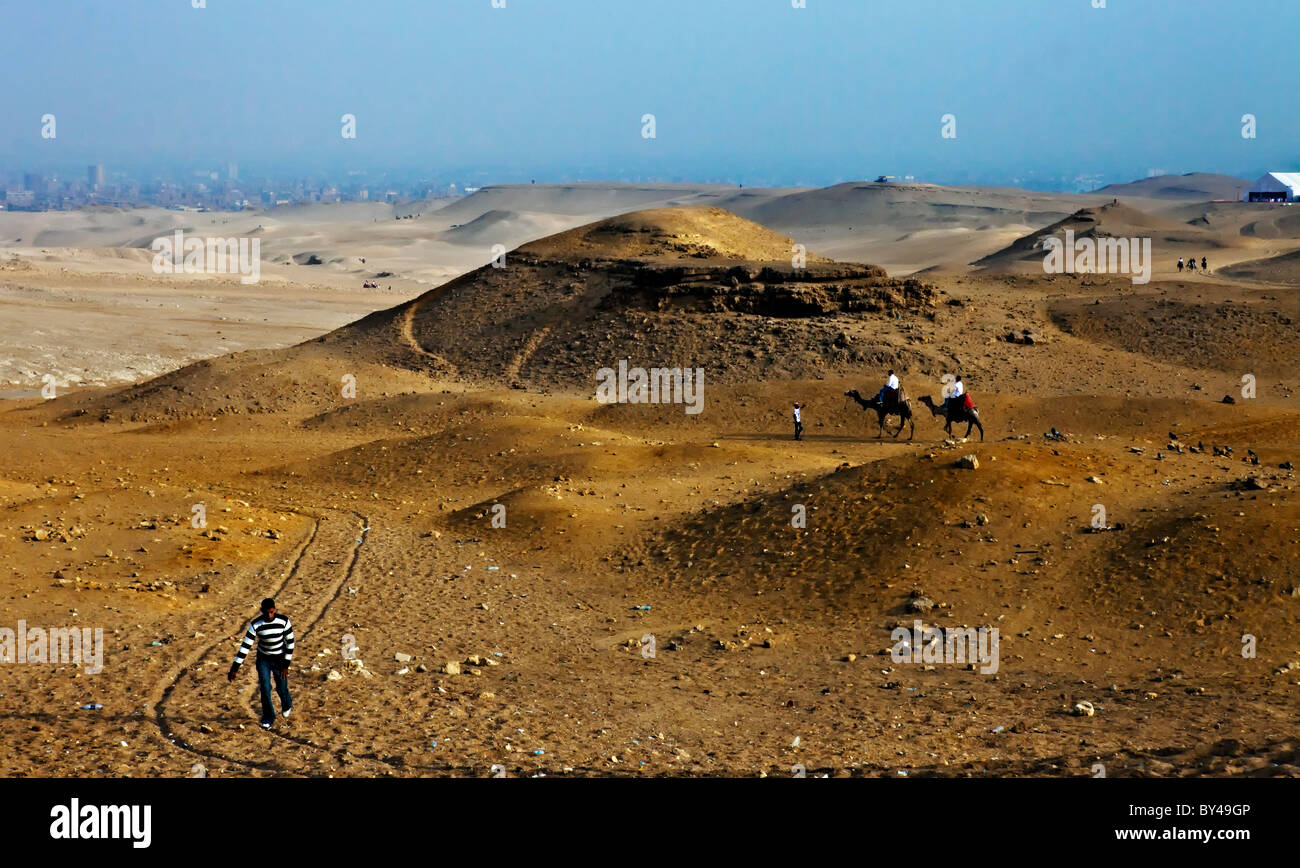 Camel egypt pyramids hi-res stock photography and images - Alamy