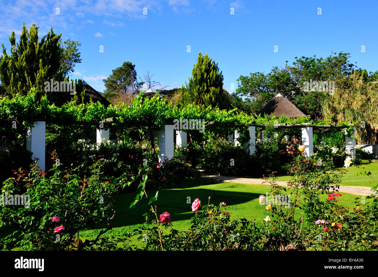 A flower garden. Prince Albert, South Africa Stock Photo - Alamy