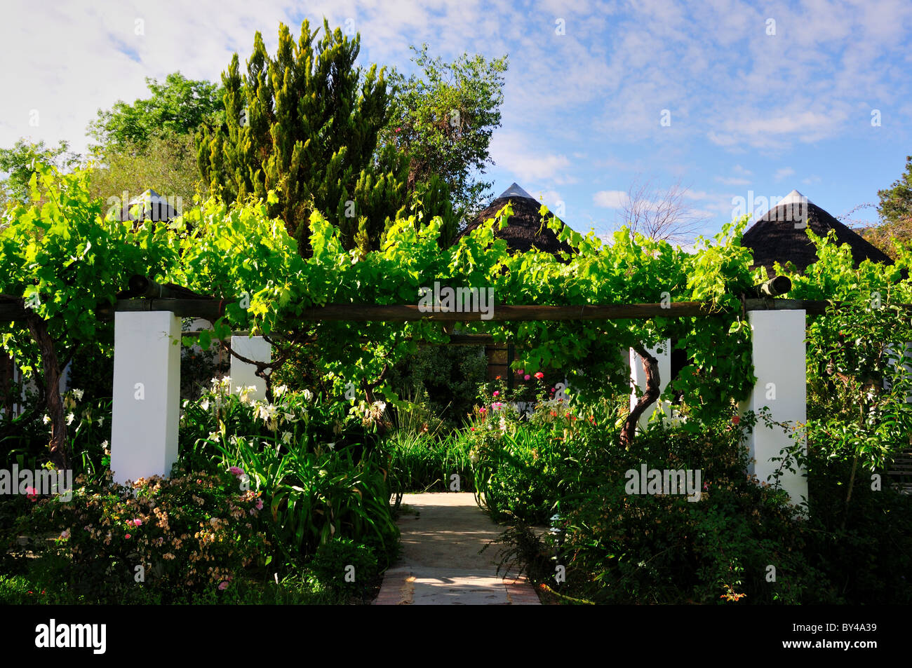 A flower garden. Prince Albert, South Africa Stock Photo - Alamy
