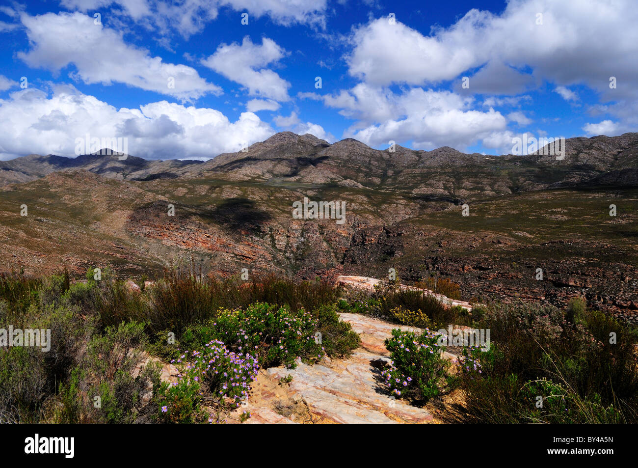 Swartberg nature reserve south africa hi-res stock photography and ...