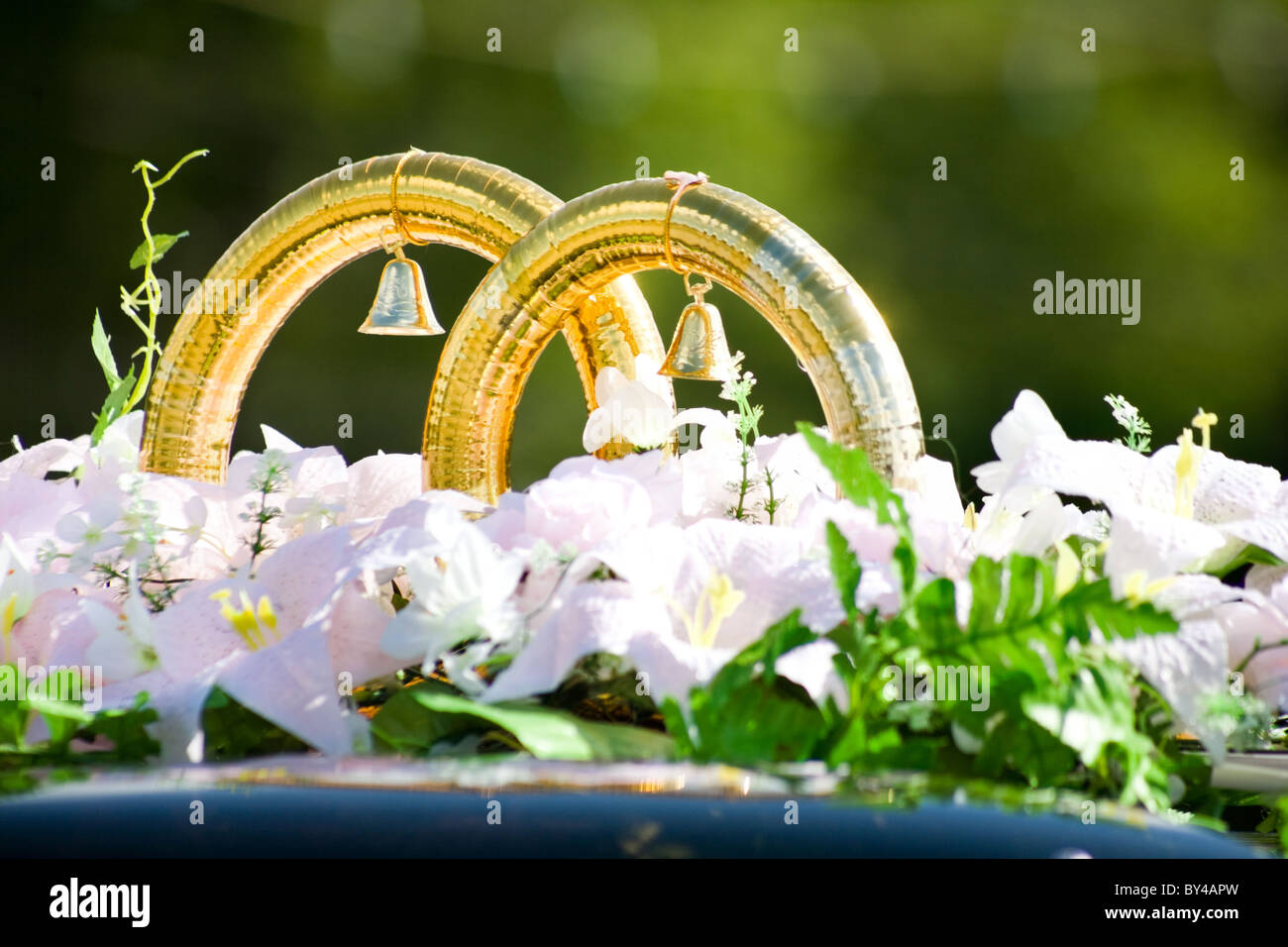 Golden lily bell hi-res stock photography and images - Alamy