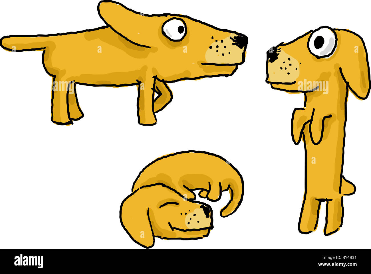 Cartoon active dog funny illustration in various poses Stock Photo - Alamy