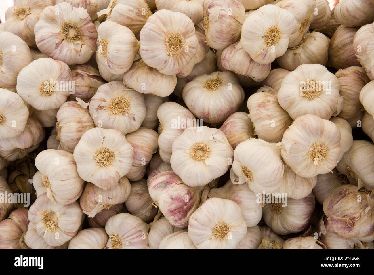 Whole Bulbs of Garlic for Sale at a Market Stock Photo - Alamy