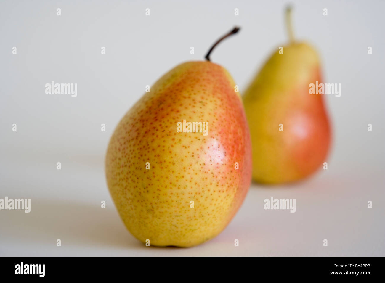 Two comice pears Stock Photo - Alamy