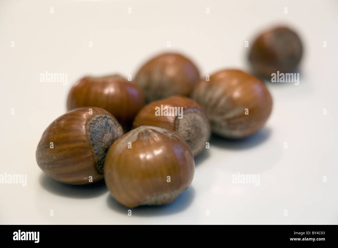 Hazel fruit hi-res stock photography and images - Alamy
