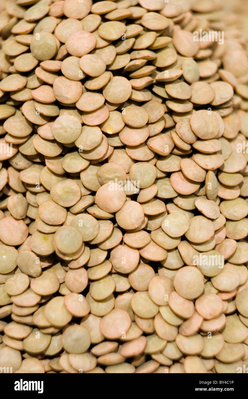 Continental lentils hi-res stock photography and images - Alamy