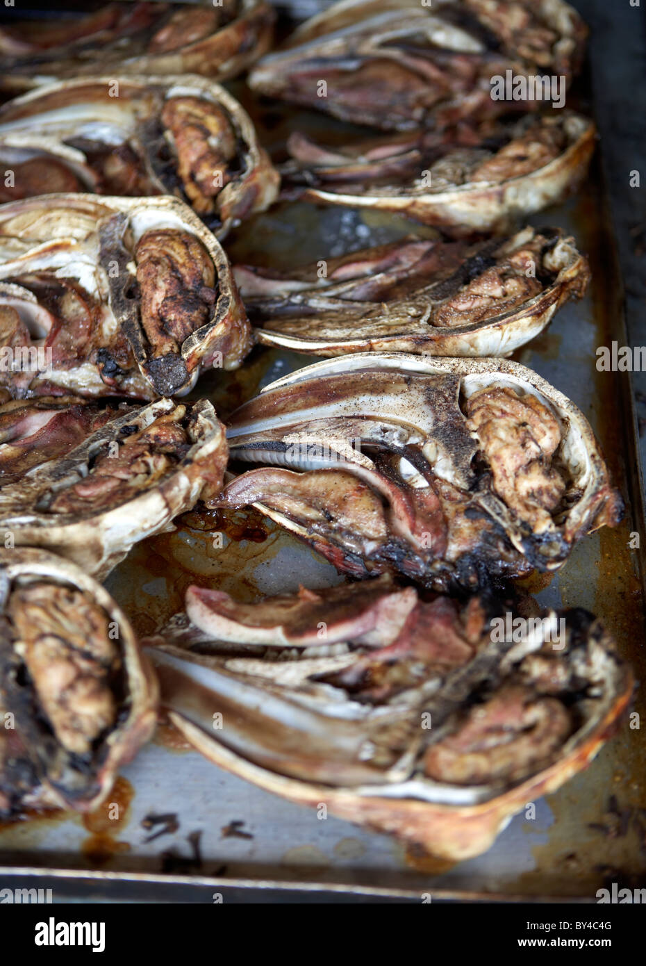 Tray of Cooked Sheeps Heads Stock Photo - Alamy