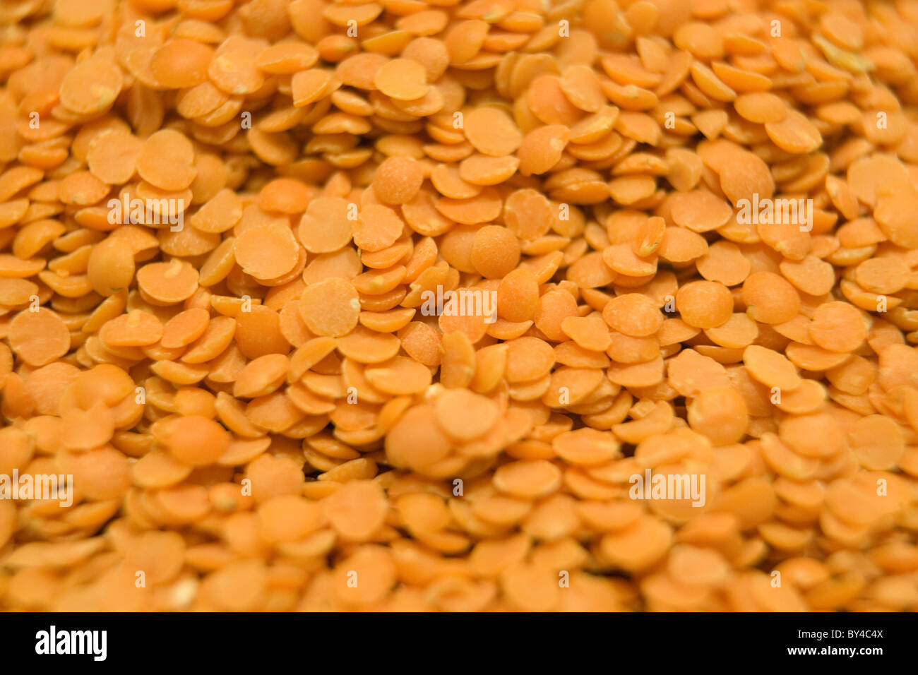 Split red lentils Stock Photo - Alamy