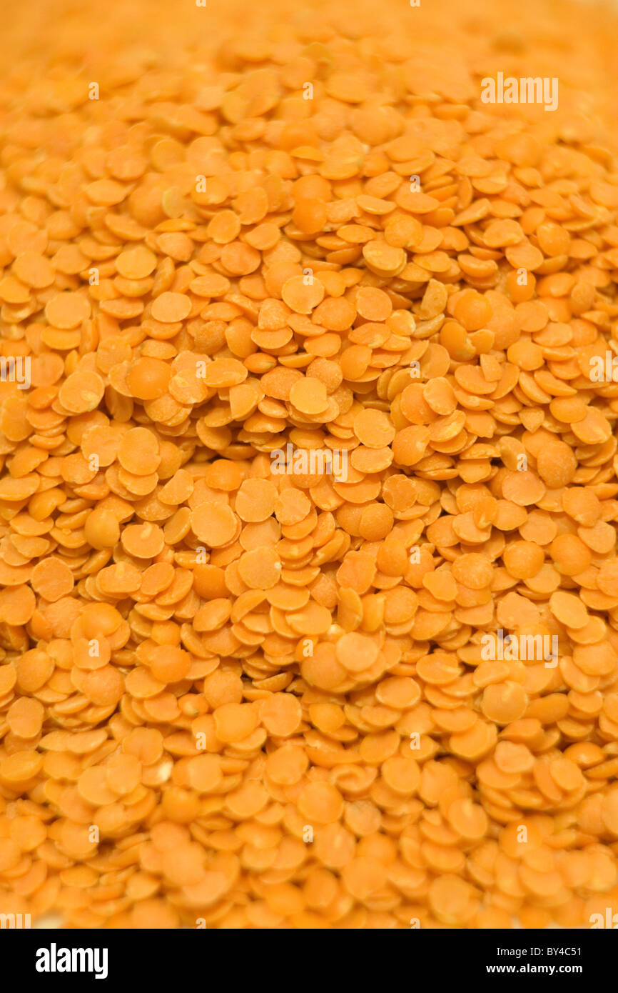 Split red lentils Stock Photo - Alamy