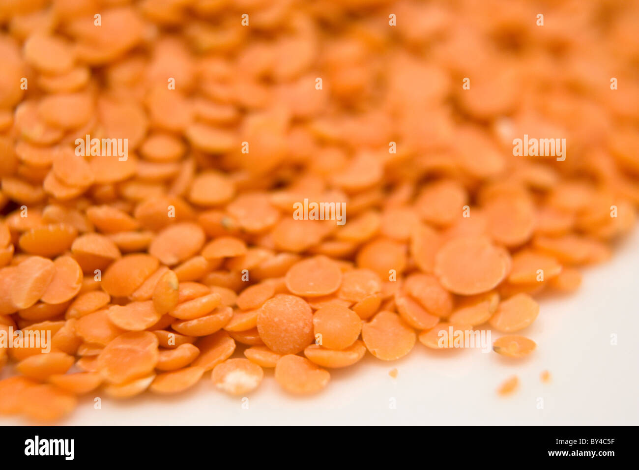 Split red lentils Stock Photo - Alamy