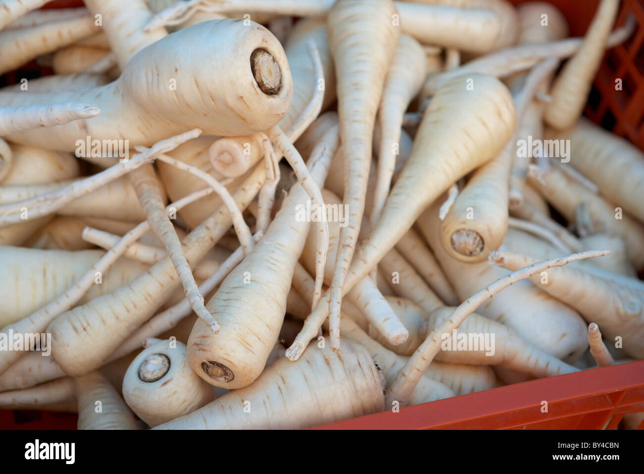 Parsnips vegetables hi-res stock photography and images - Alamy