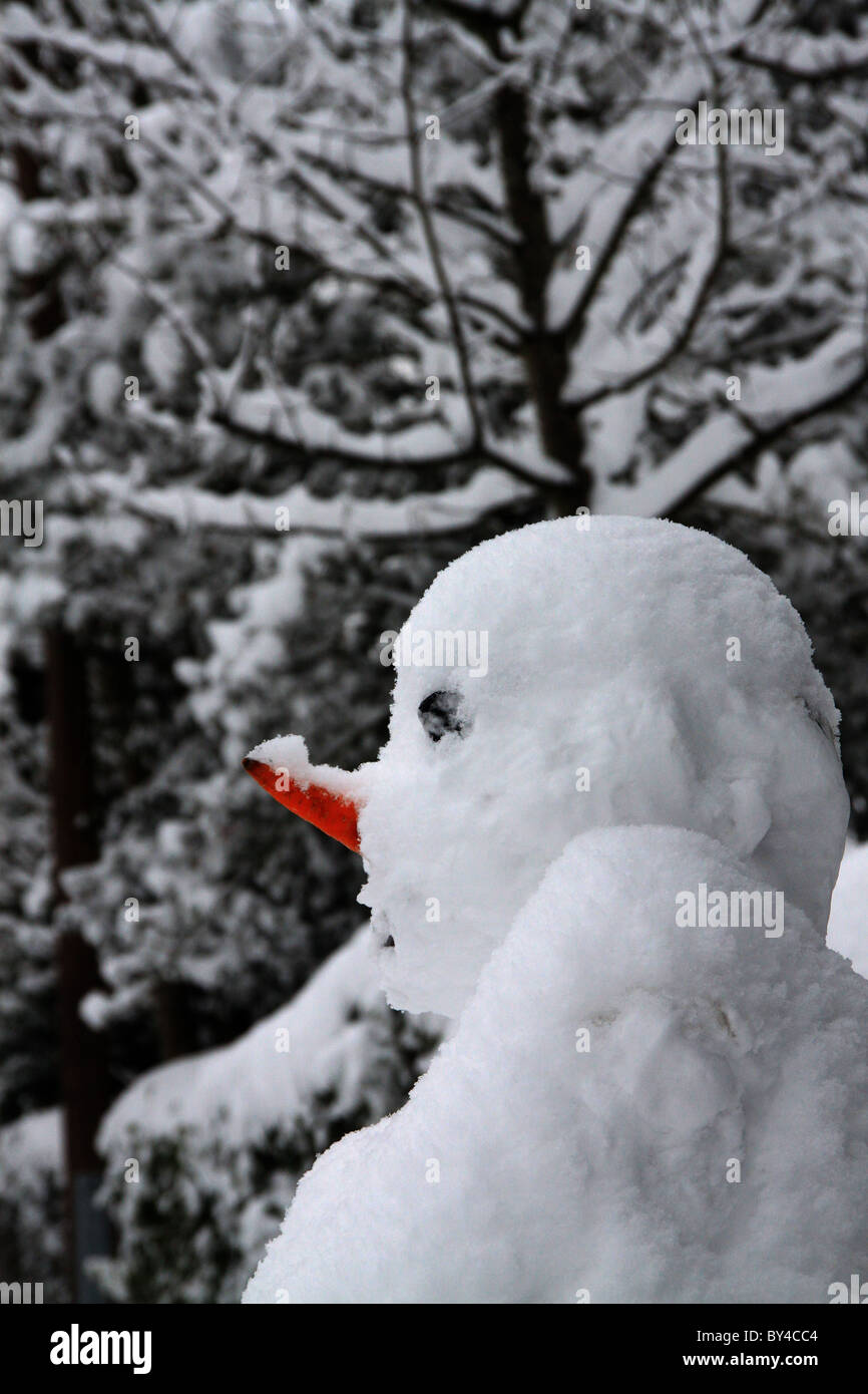 Snowman in a field hi-res stock photography and images - Alamy