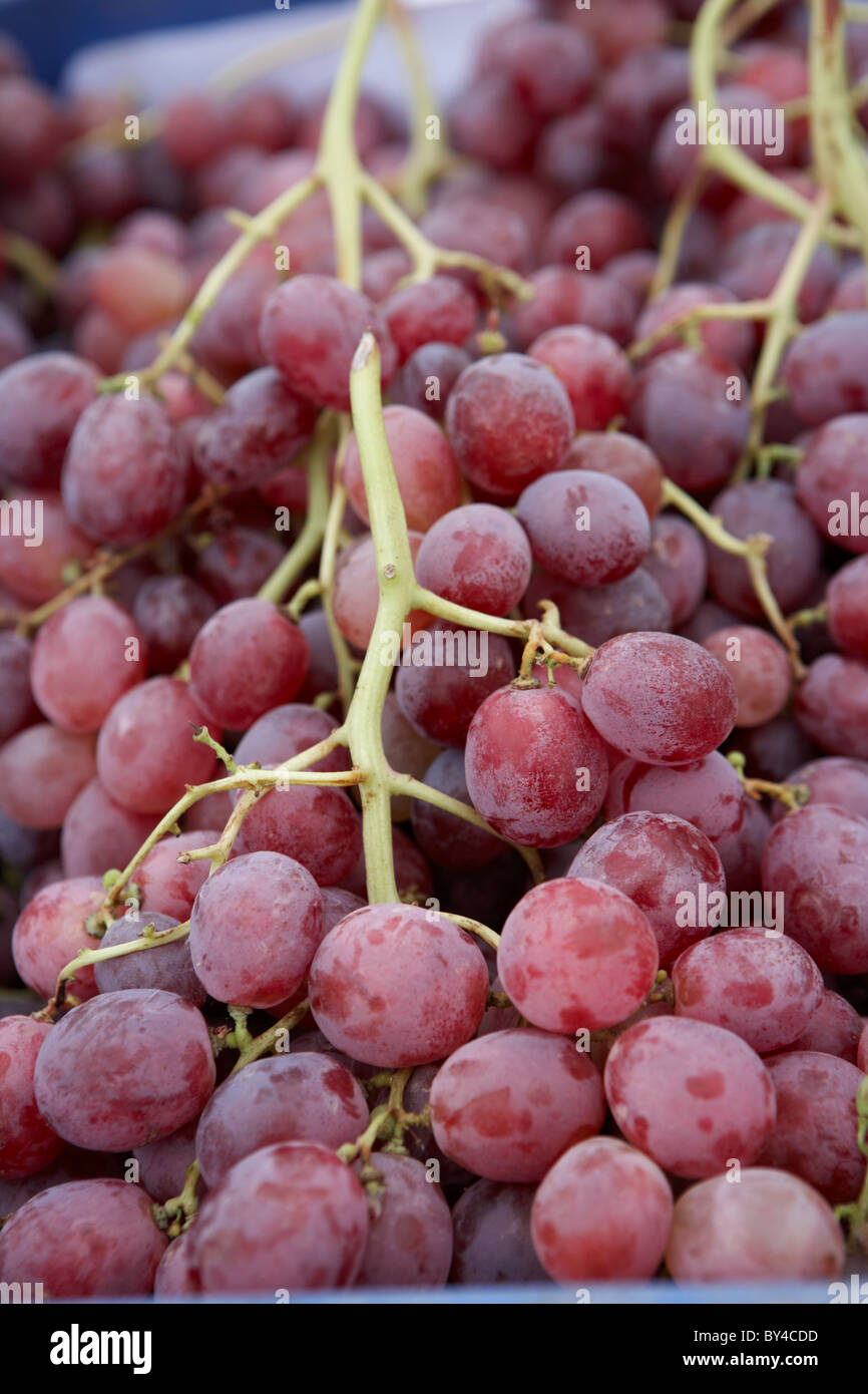 Red berries photos hi-res stock photography and images - Alamy