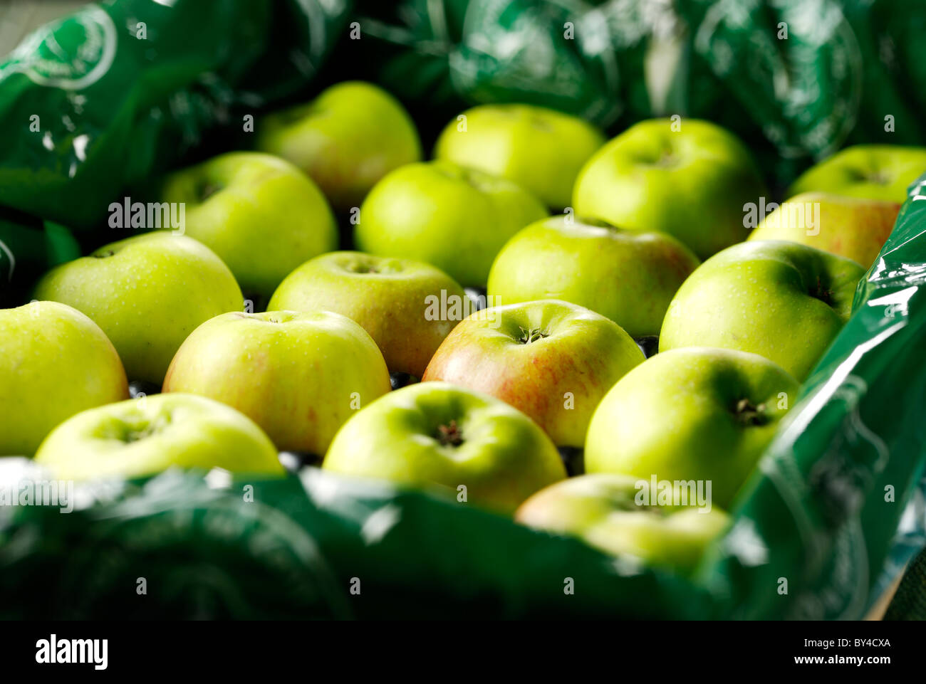 Tray of Apples Stock Photo - Alamy