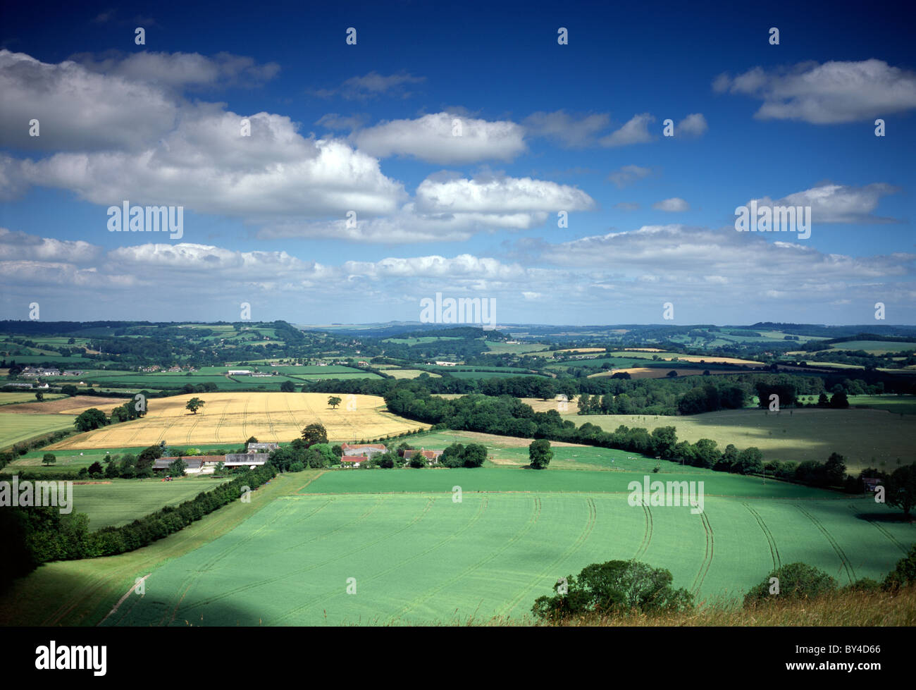 Donheads hi-res stock photography and images - Alamy