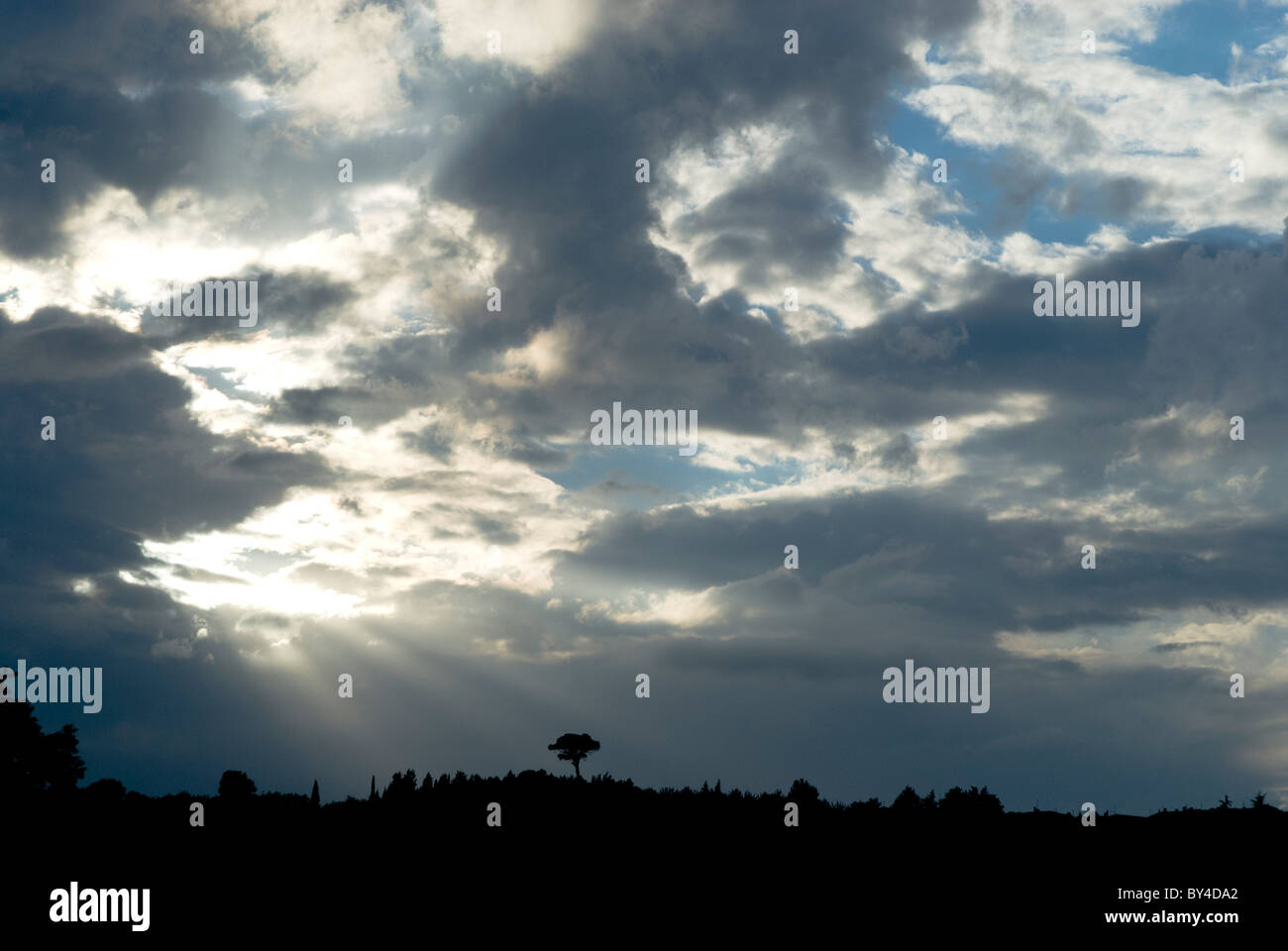 evening dramatic sky with single tree Stock Photo - Alamy