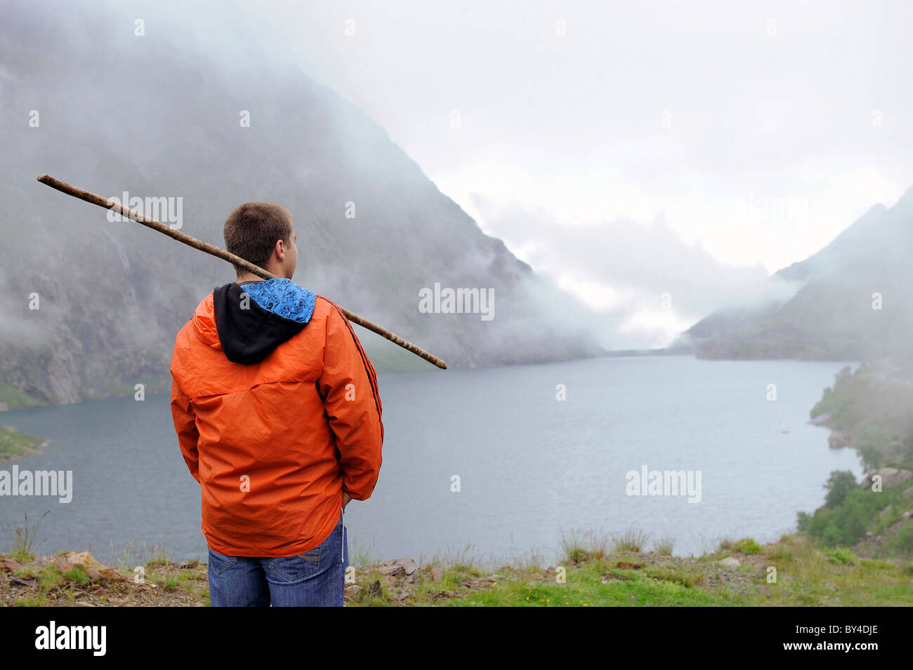 Transhumance in the Pyrenees Stock Photo - Alamy