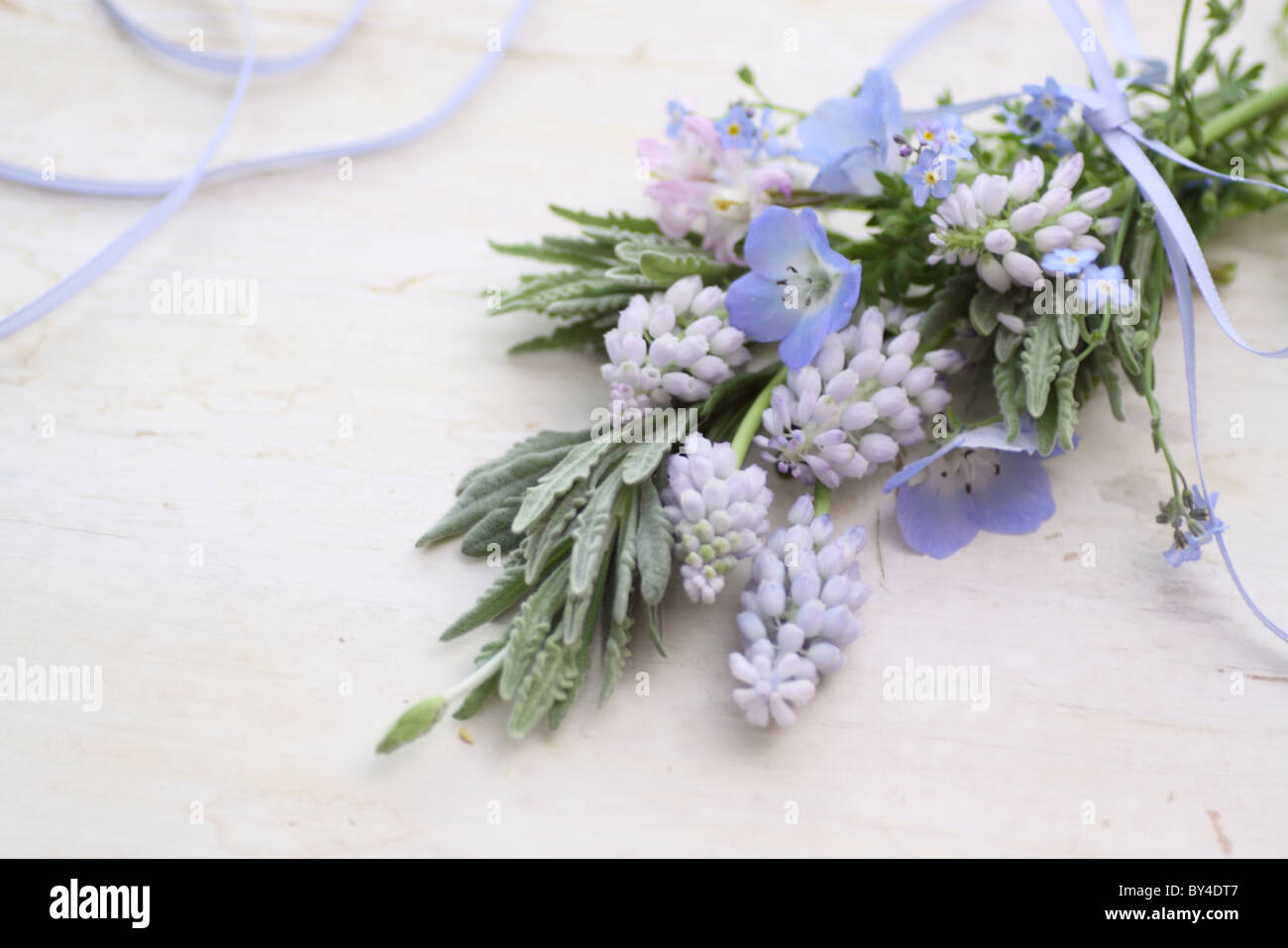 Flowers and herbs Stock Photo - Alamy