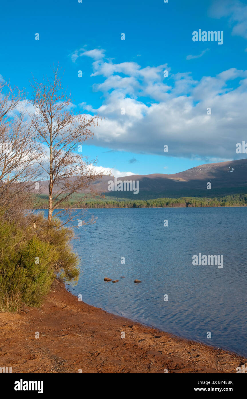 Aviemore hi-res stock photography and images - Alamy