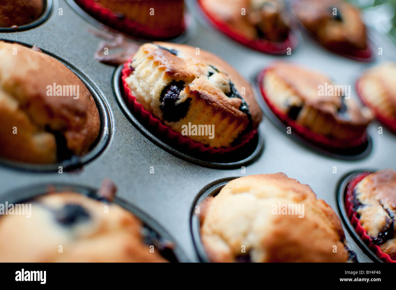 muffins in tin Stock Photo - Alamy