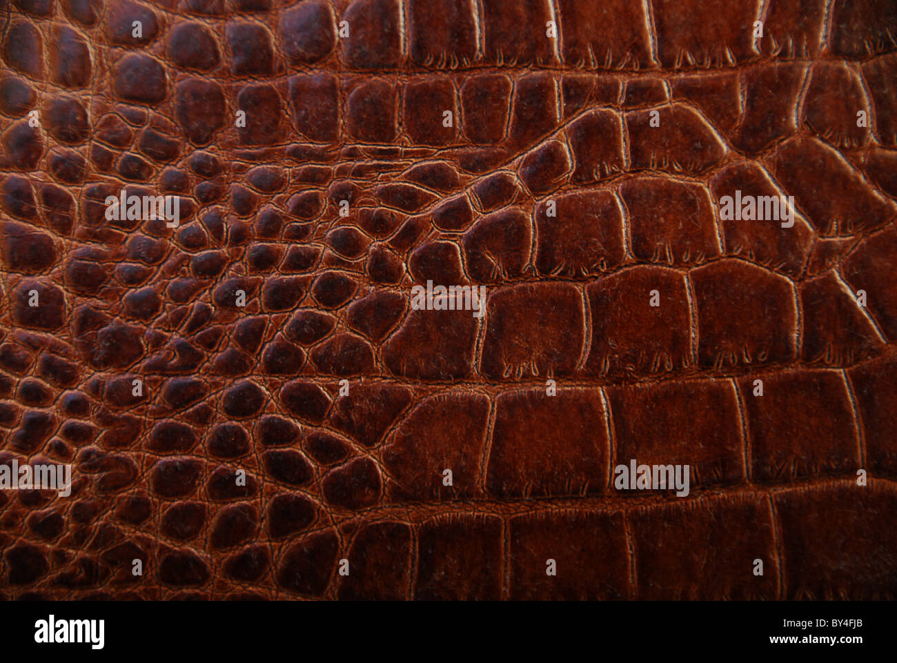 Snakeskin patterns hi-res stock photography and images - Alamy
