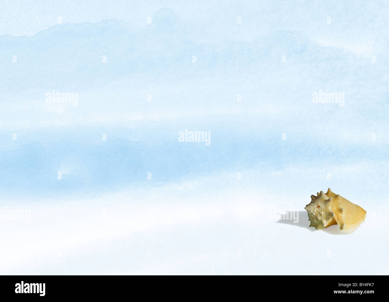 Seashell inside hi-res stock photography and images - Alamy