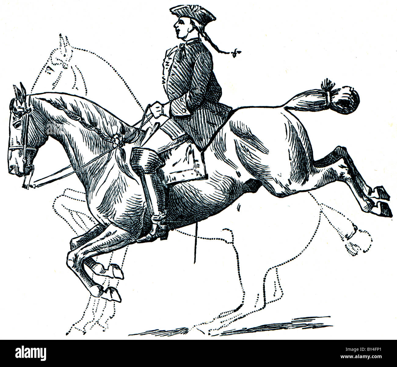 Caprioli, dotted line denotes the position of a horse before a jump and ...
