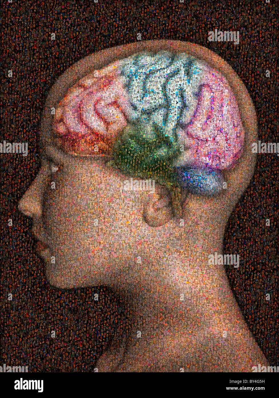 Human Brain Montage High Resolution Stock Photography and Images - Alamy