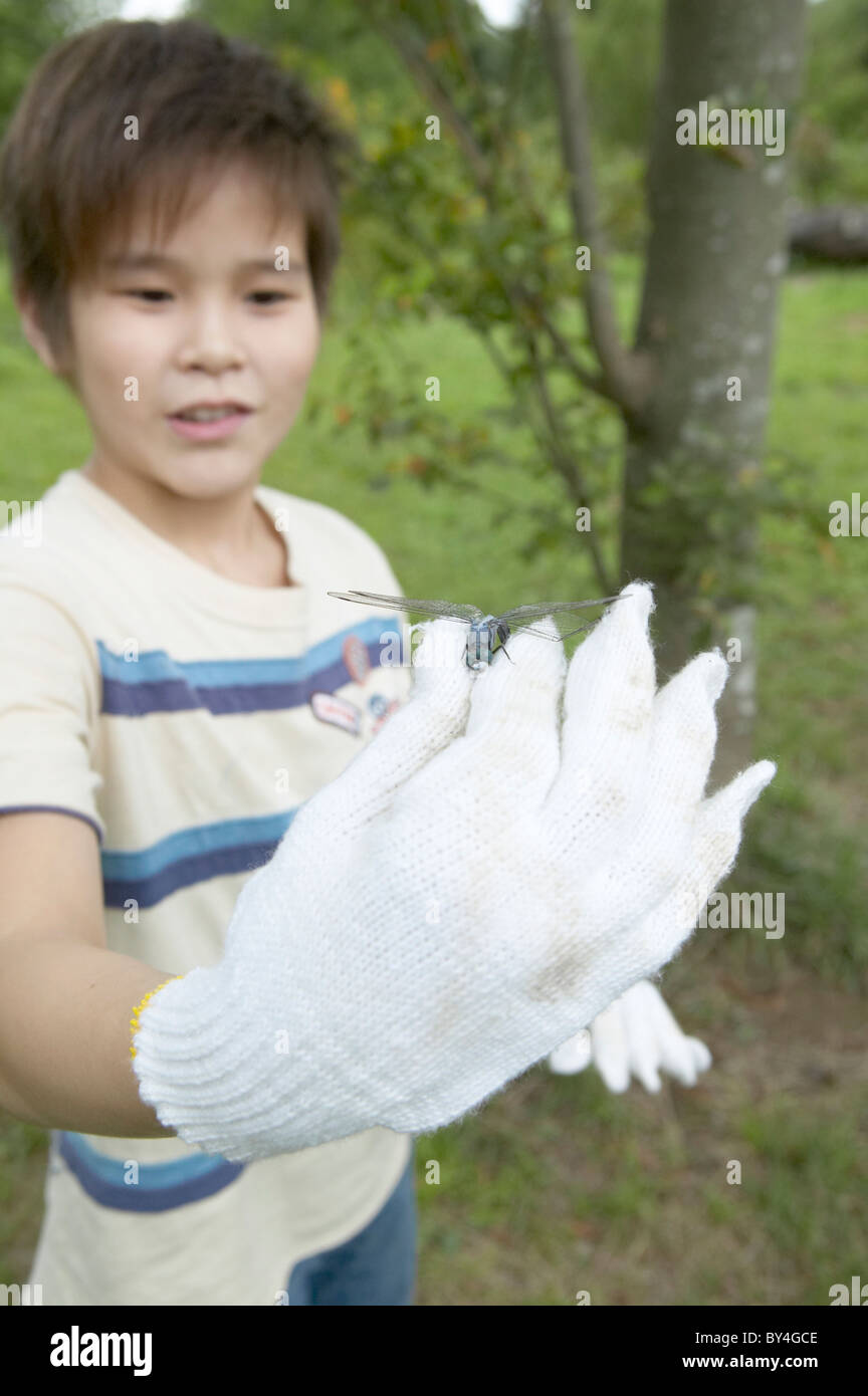 Boy Holding Insect Stock Photo - Alamy