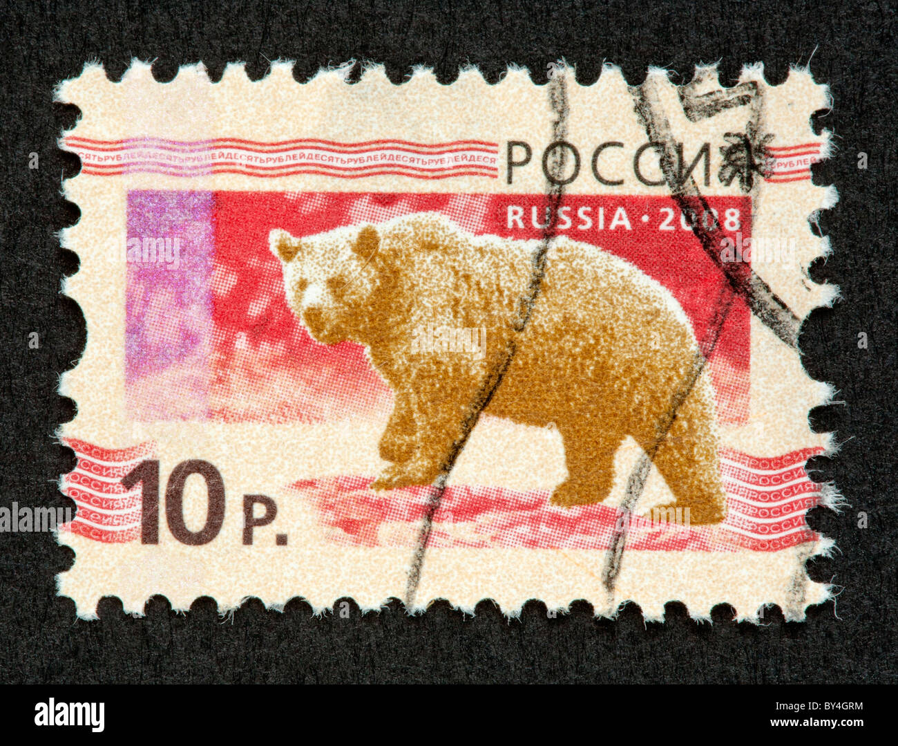 Russian bear hi-res stock photography and images - Alamy