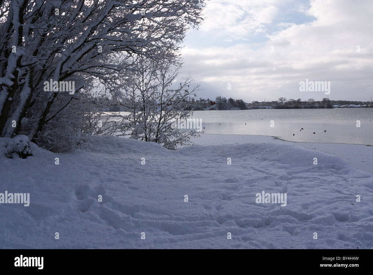 Heavy wet snow hi-res stock photography and images - Alamy