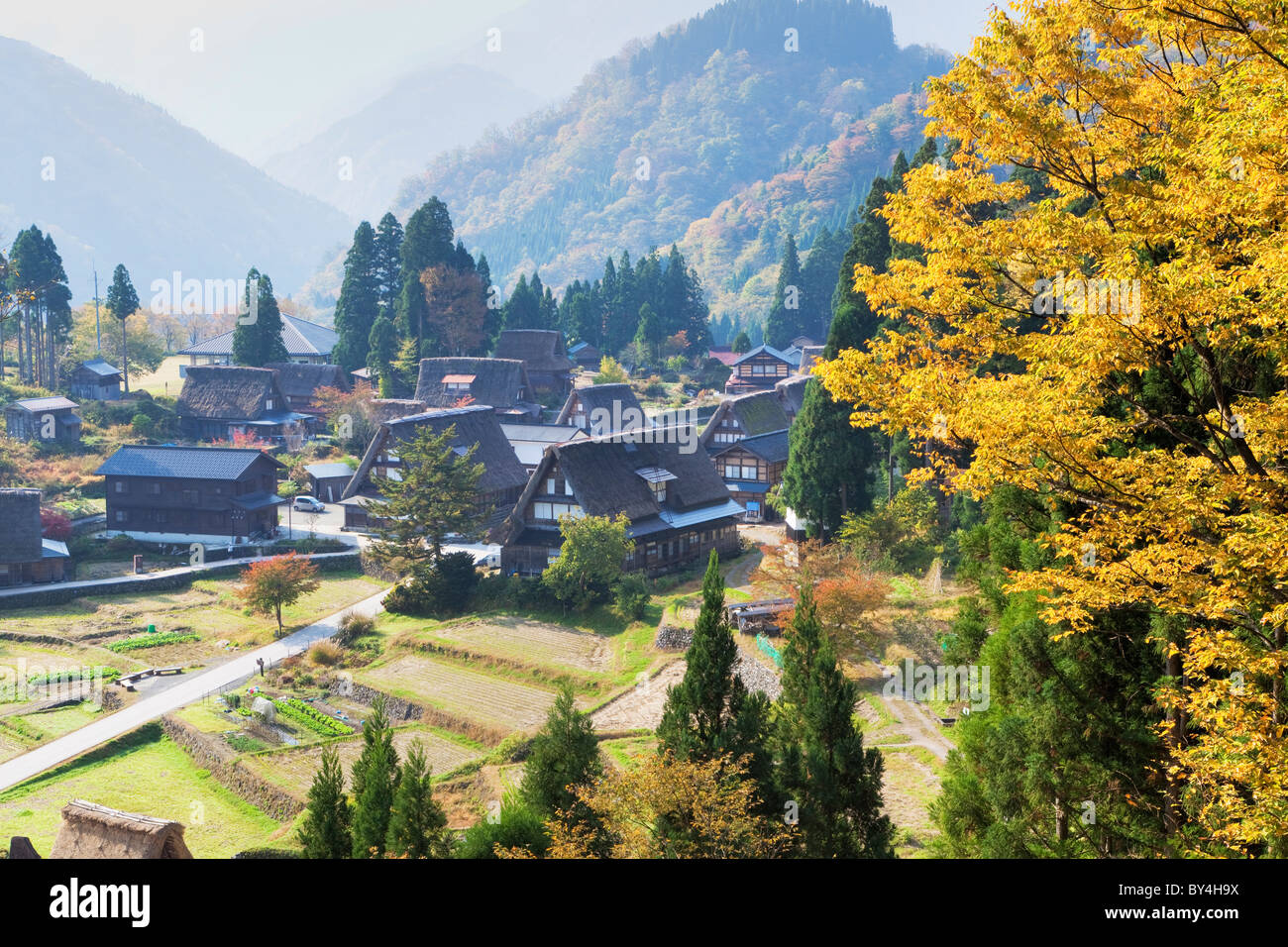 Suganuma hi-res stock photography and images - Alamy