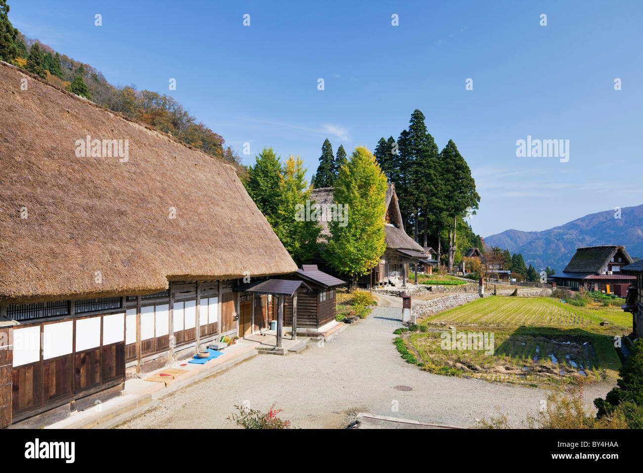 Suganuma hi-res stock photography and images - Alamy