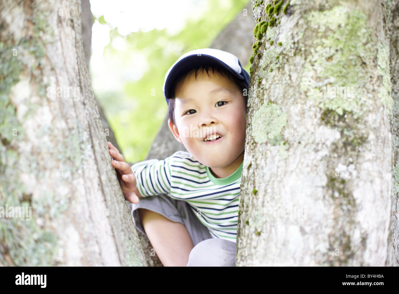 Portrait of Boy Climbing Tree Stock Photo - Alamy