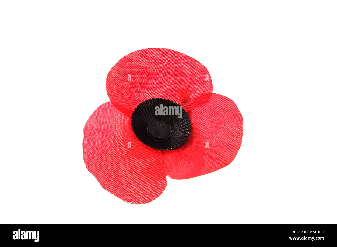 War poppy Cut Out Stock Images & Pictures - Alamy