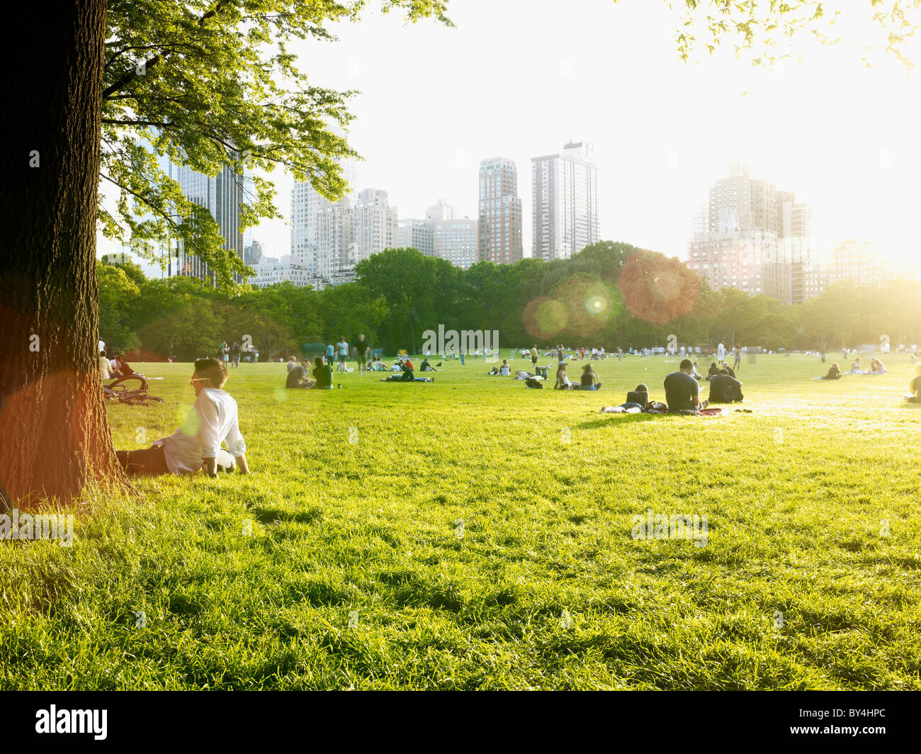 Central park, Sheep Meadow, NYC, New York, USA Stock Photo - Alamy