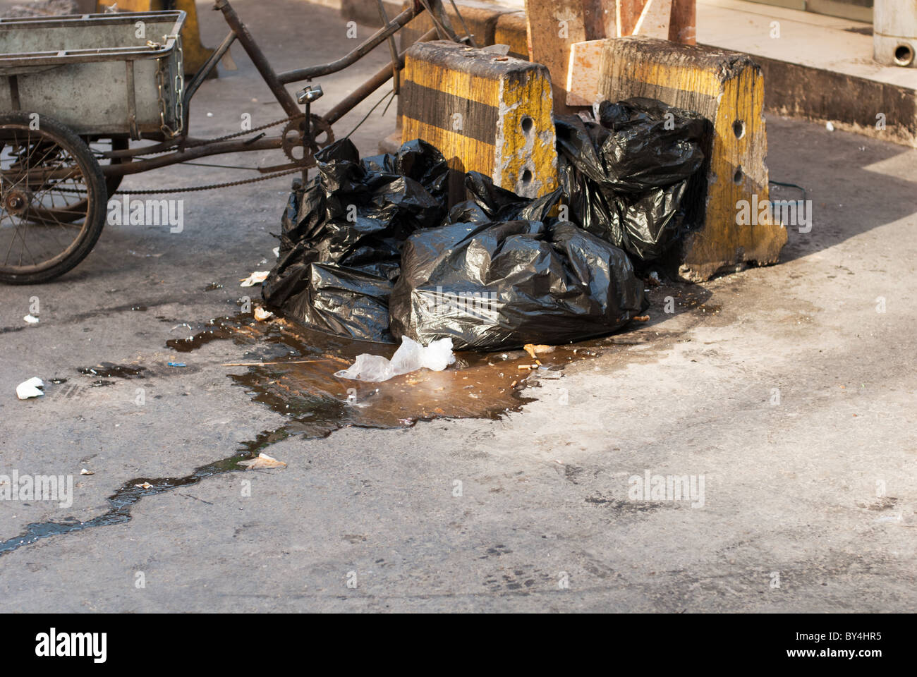 Scavenger garbage hi-res stock photography and images - Alamy