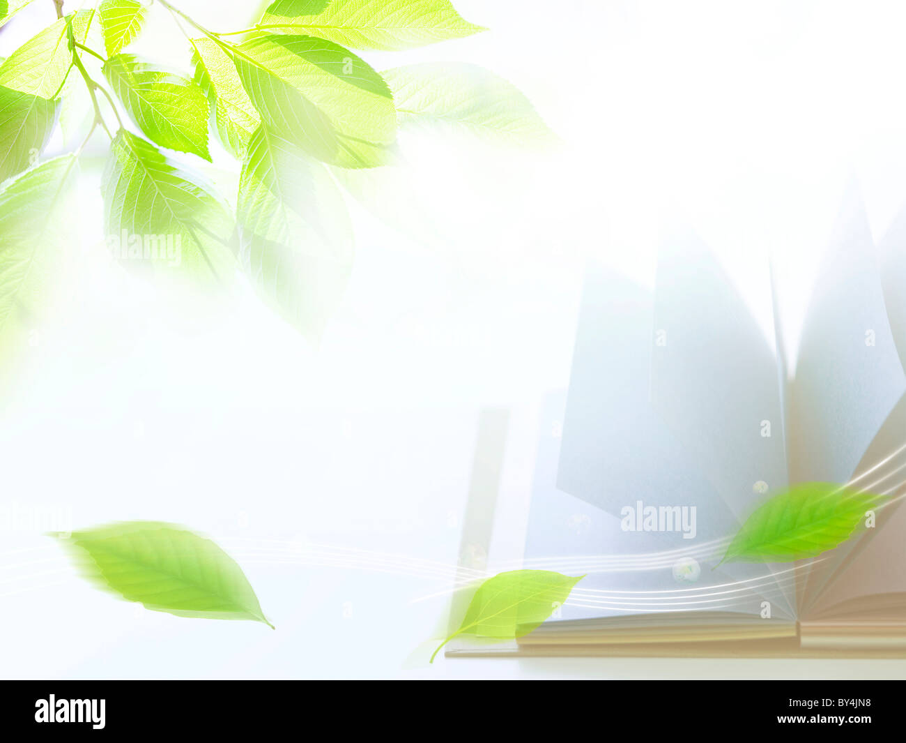 Open Book and Leaves Stock Photo - Alamy