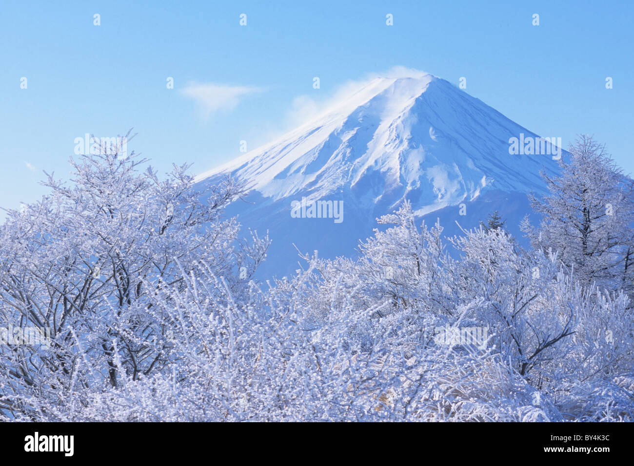 Mount Fuji in Winter Stock Photo - Alamy