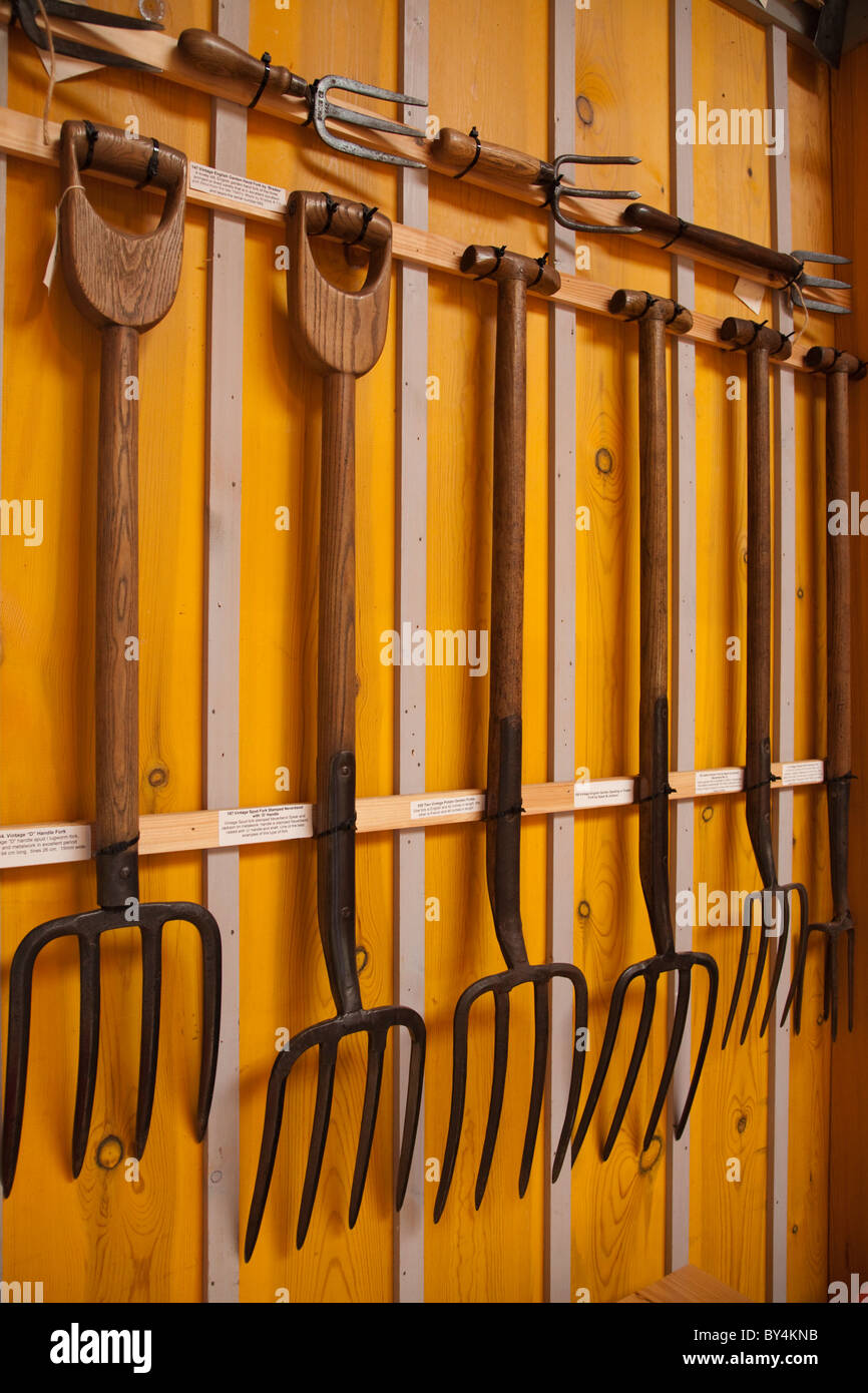 Display of garden forks hanging on a wall Norfolk East Anglia England ...