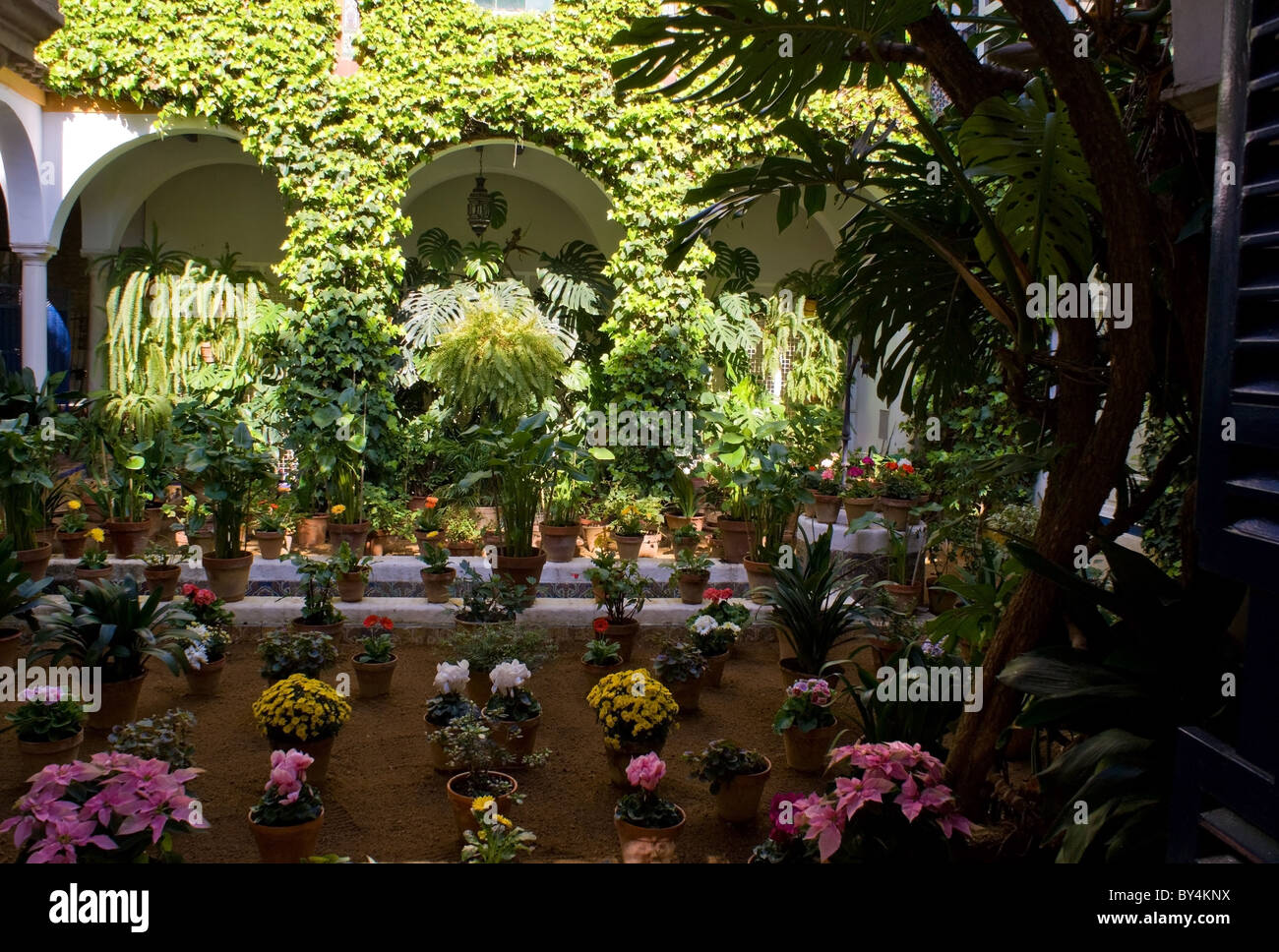 Spanish house flowers pots hi-res stock photography and images - Alamy