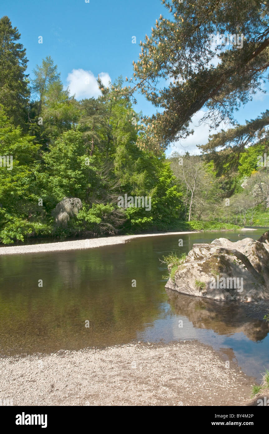 Quite pool on the River Tweed nr Peebles Scottish Borders Scotland ...